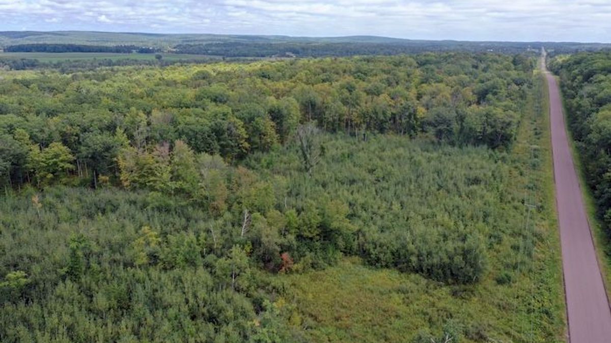 Prime Hunting Retreat With Trails - In The Horseshoe Area | Whitetail ...