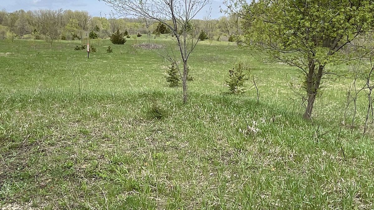 Rural Vacant Lot In Western Wisconsin | Whitetail Properties