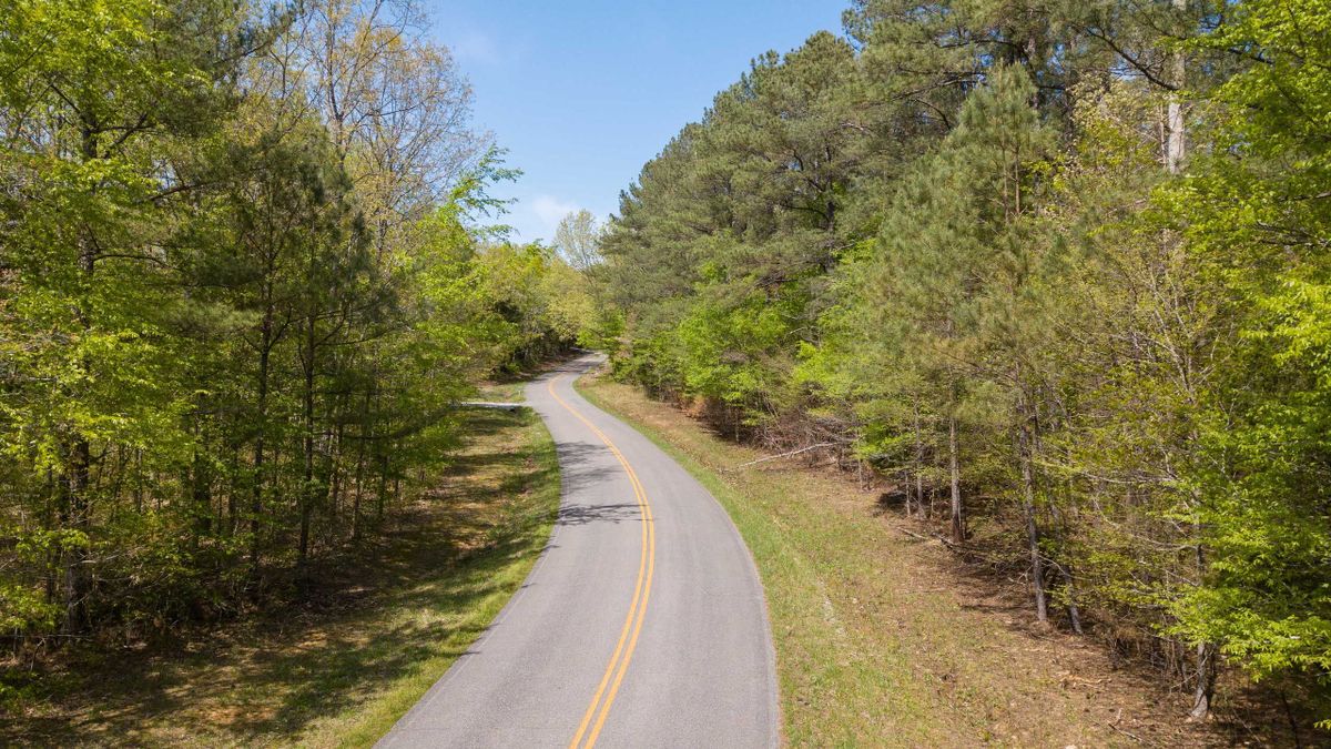 Incredible Timberland Tract With Possible Multiple Build Sites ...