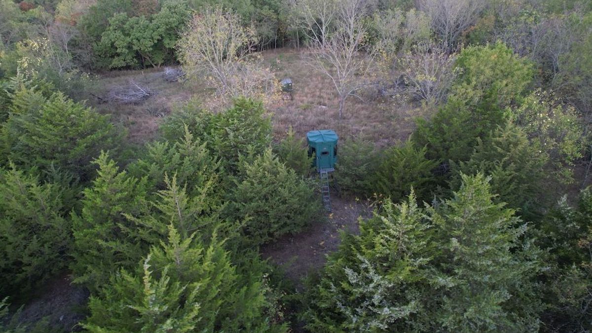 Turnkey Bourbon County Timber Tract | Whitetail Properties