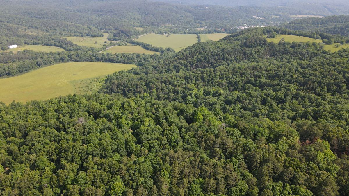 Stunning Wooded Tract With Vista Views Of Little Buffalo River Valley ...