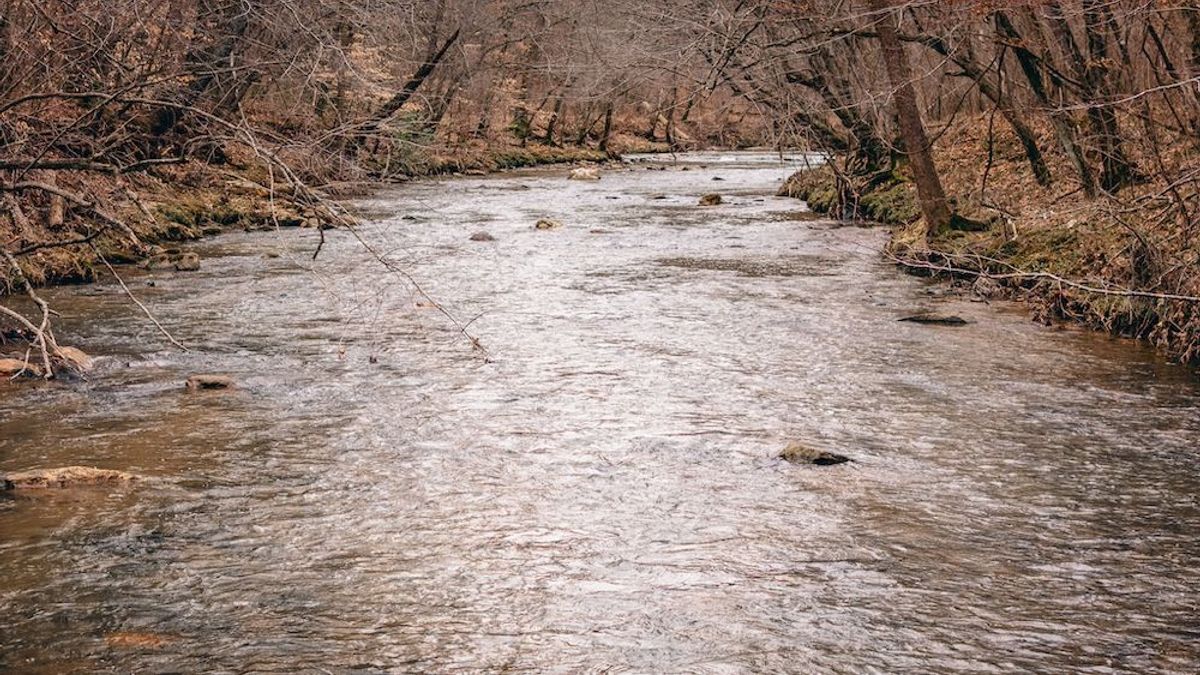 Pigg River Retreat | Whitetail Properties