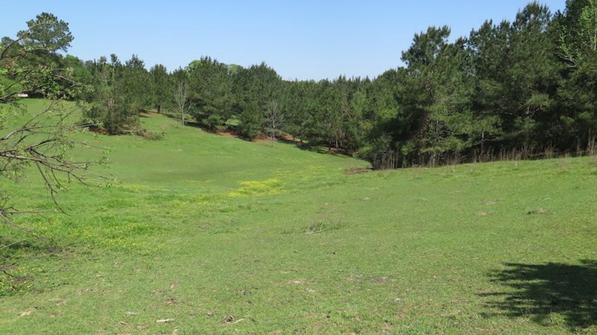 Versatile Small Tract Of Land | Whitetail Properties