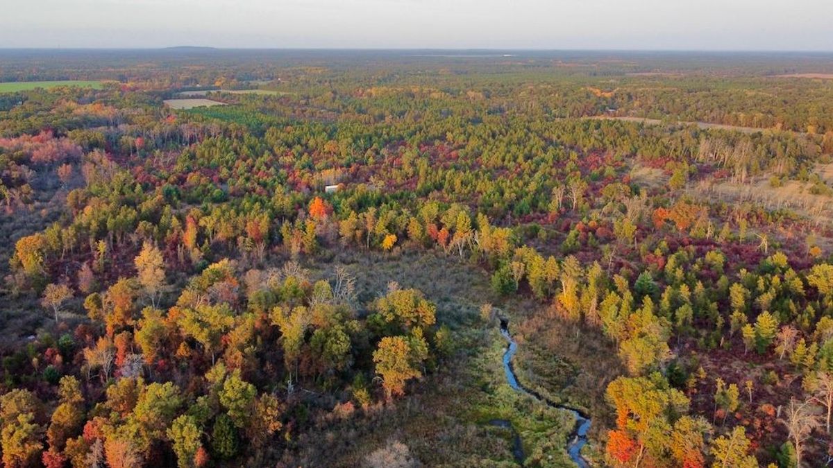 Expansive Hunting Tract On The Dead Horse Creek | Whitetail Properties