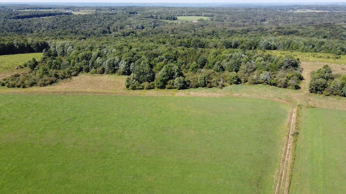 Productive Open Ground With Woods, Orchard And Farm Potential ...
