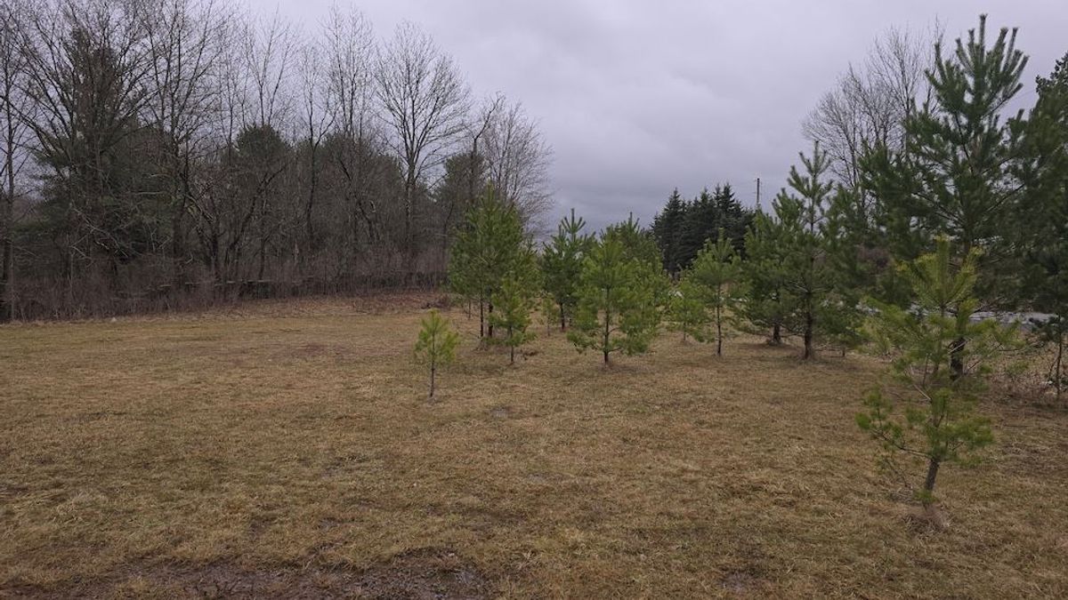 Beautiful Wooded Lot With Secluded Cabin And Pond, Home Site ...