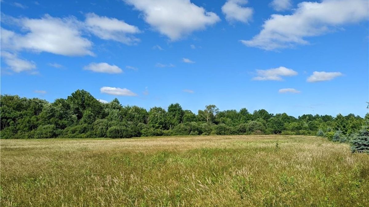 Beautiful, Affordable Acreage In Rural OH | Whitetail Properties