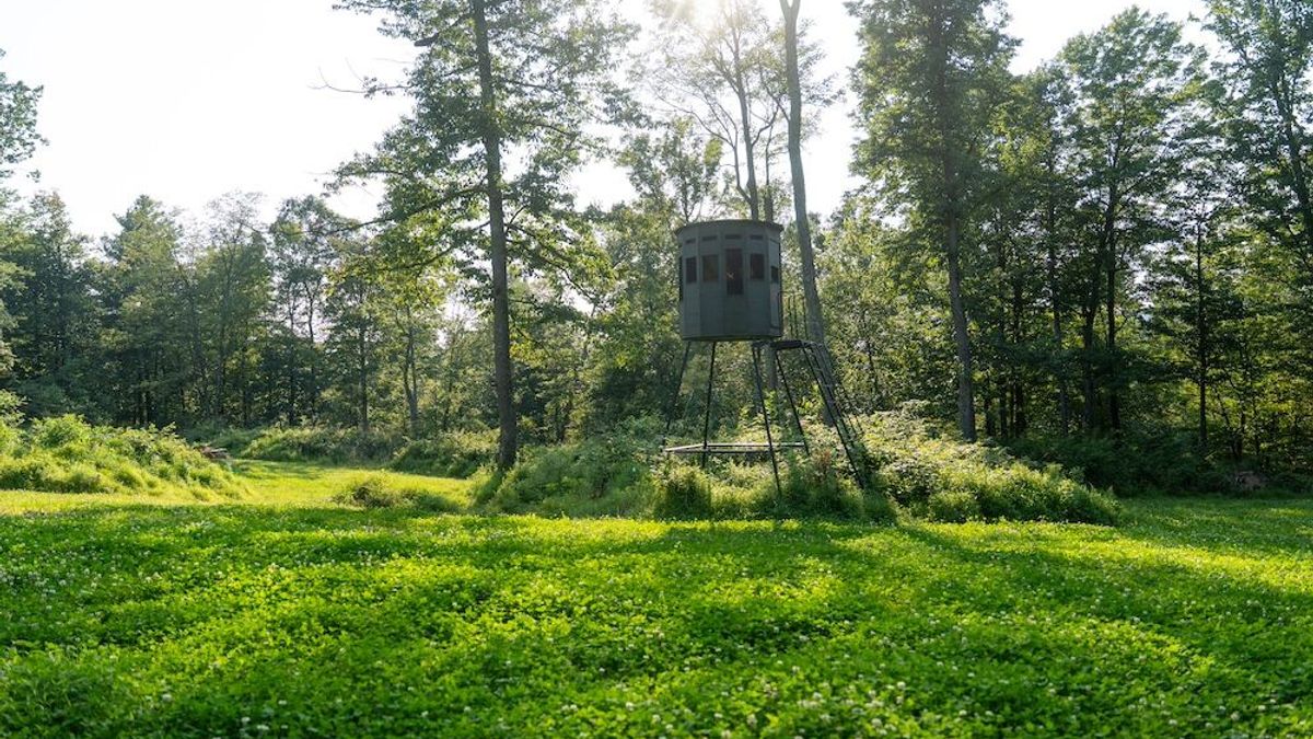 Turn-Key Whitetail Retreat With 3-Year Habitat Plan In Place ...