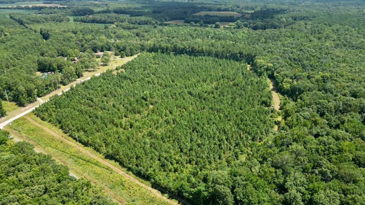 Recreational Land Perfect For Hunting And Investment | Whitetail Properties