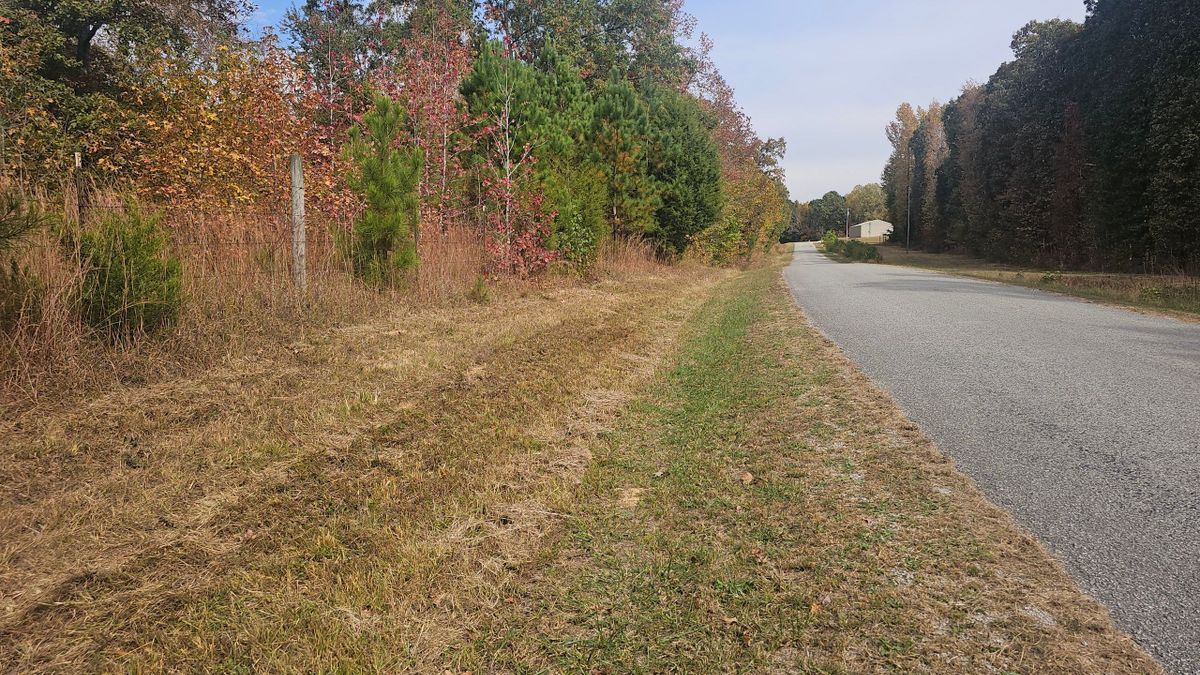 Timber Tract With A Homesite And Utilities | Whitetail Properties