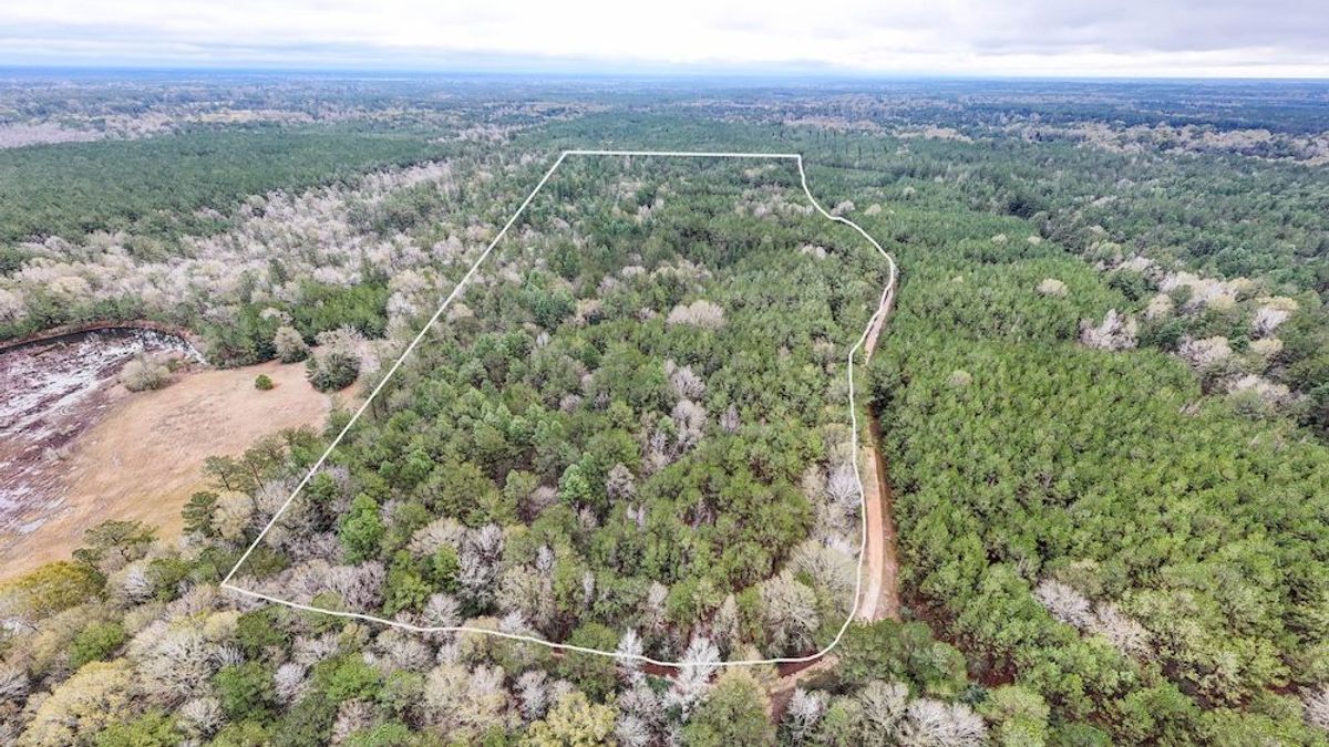 27 +/- Acres of Timberland With Great Access | Whitetail Properties