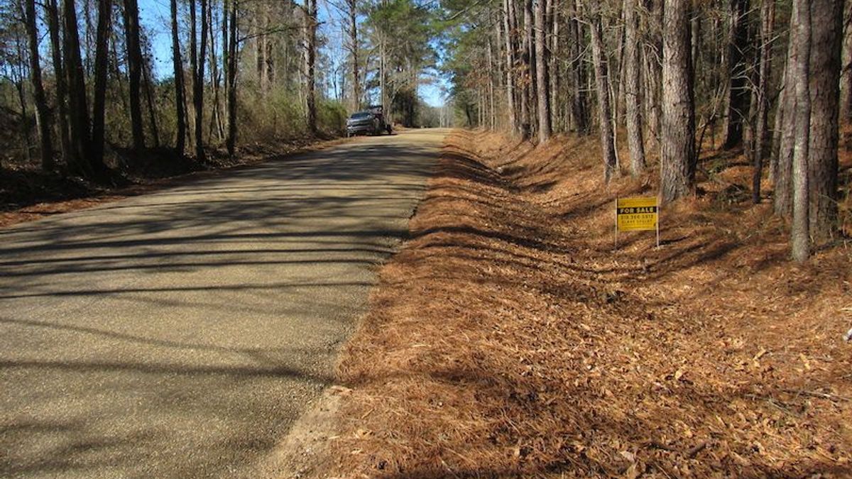 Union Parish 42± Acres | Whitetail Properties