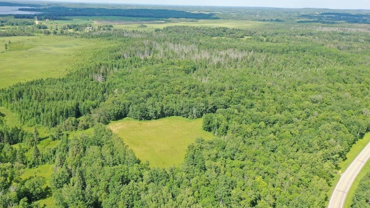 Rare Opportunity To Own A Top-End Deer Hunting Property Near Toad Lake ...