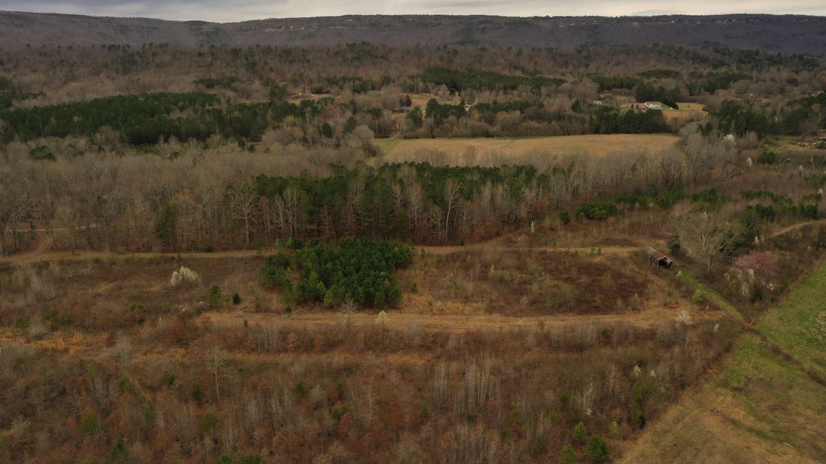 Excellent Homestead With Views Near Menlo | Whitetail Properties