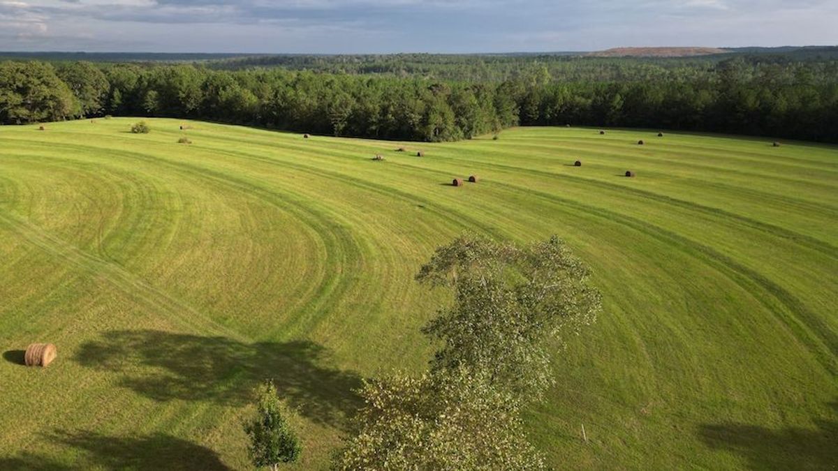 Beautiful Turn-Key Farm Property With Camp House And Barn | Whitetail ...