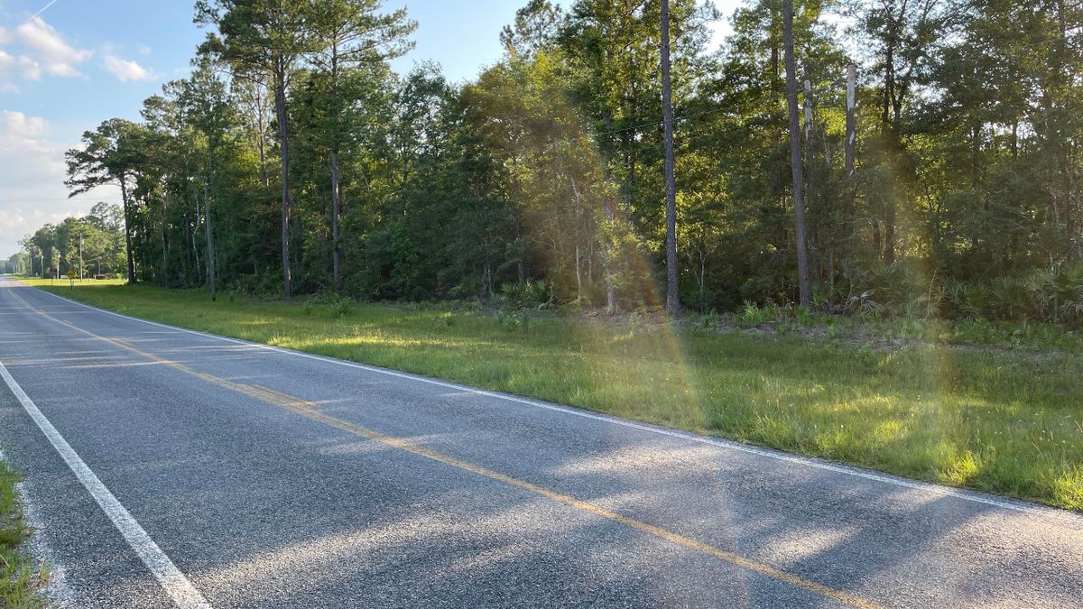 Timbered Parcel With Highway Frontage | Whitetail Properties