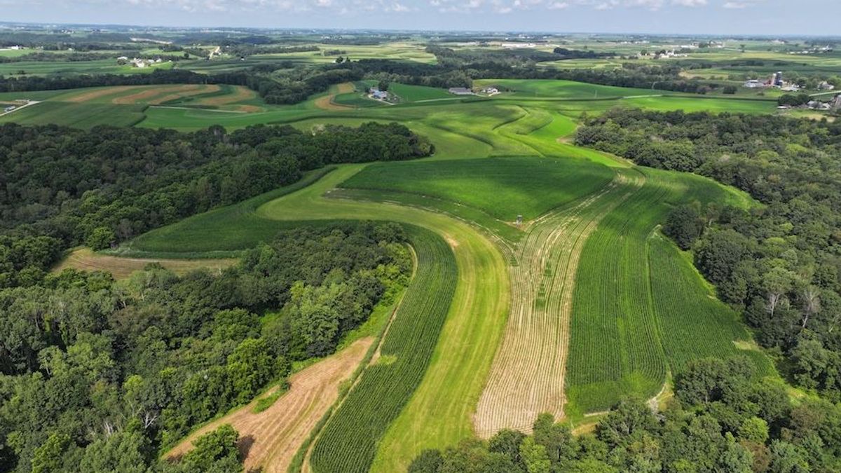 Secluded Dream Hunting Farm In The Heart Of Houston County | Whitetail ...