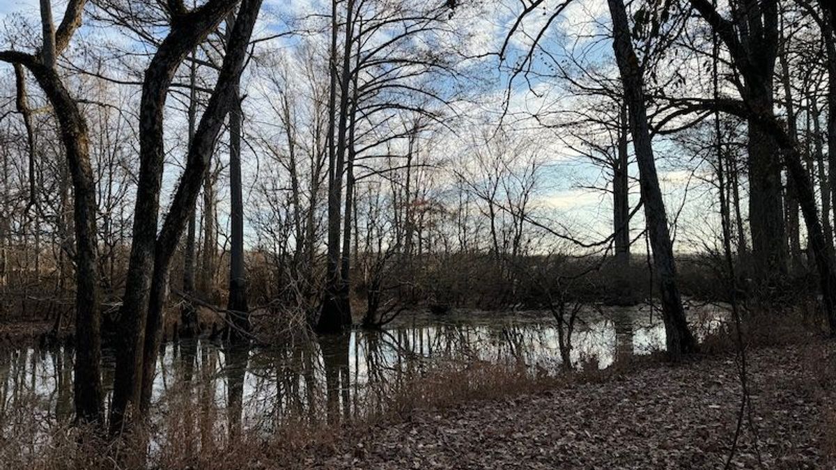 Bayou Bartholomew Hunting Tract A | Whitetail Properties