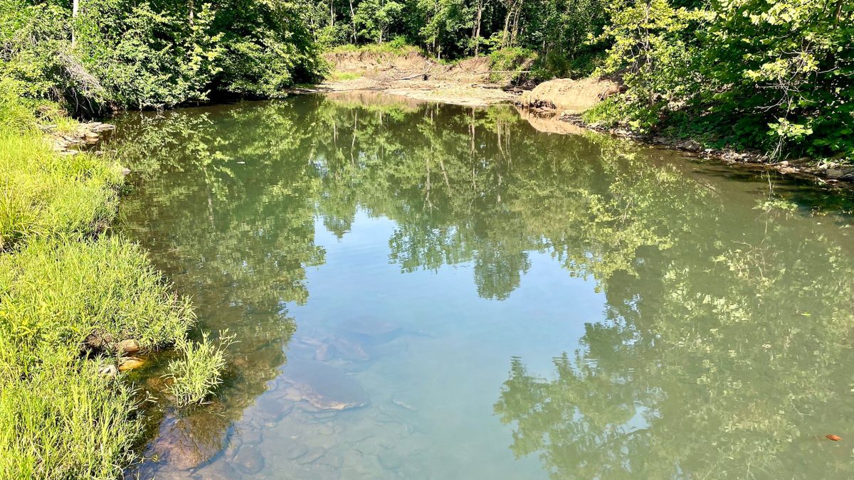 Spadra Creek Recreational Property | Whitetail Properties