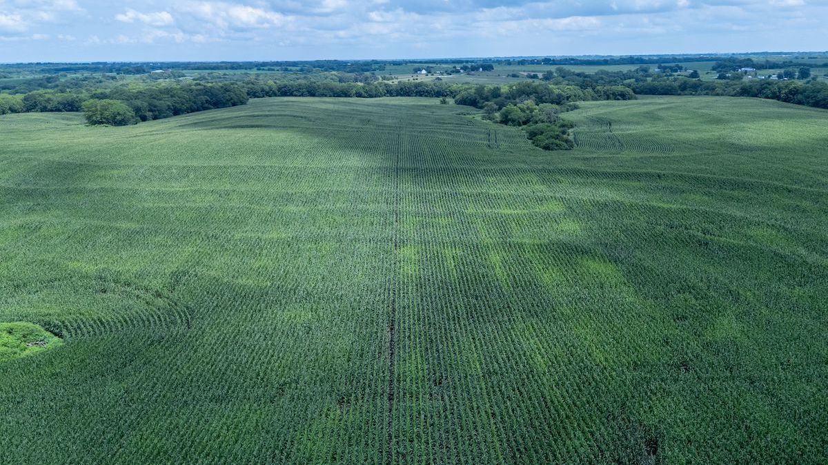 Beautiful Rolling Upland Tillable Farm Just Outside of Hamilton with ...