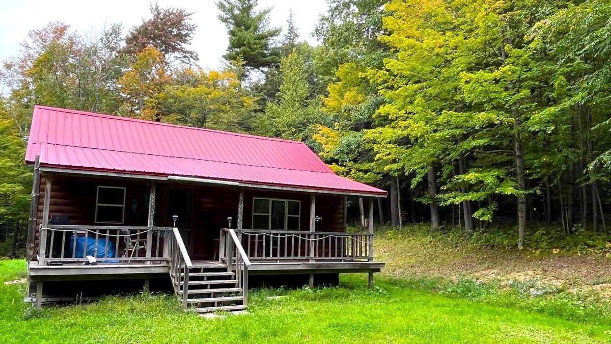 Secluded Rustic Home On Dead End Road With Acreage In Friendship, NY ...