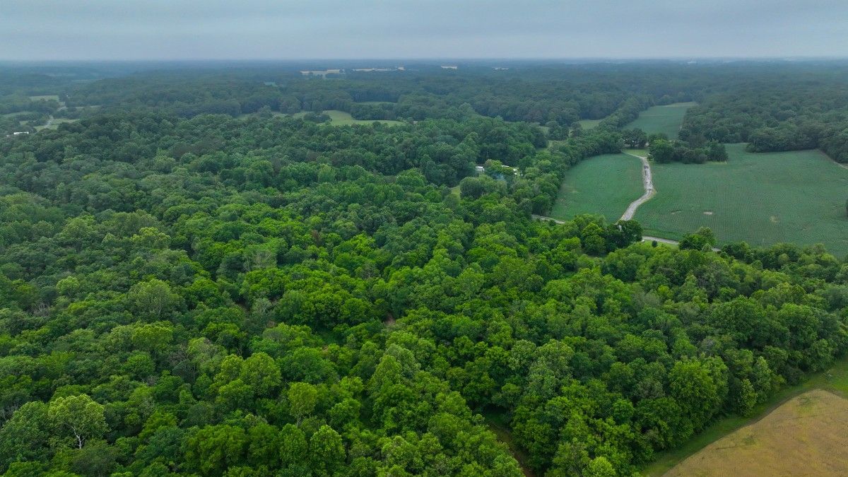 25.06± Acre Hunting Tract With Creek Frontage | Whitetail Properties