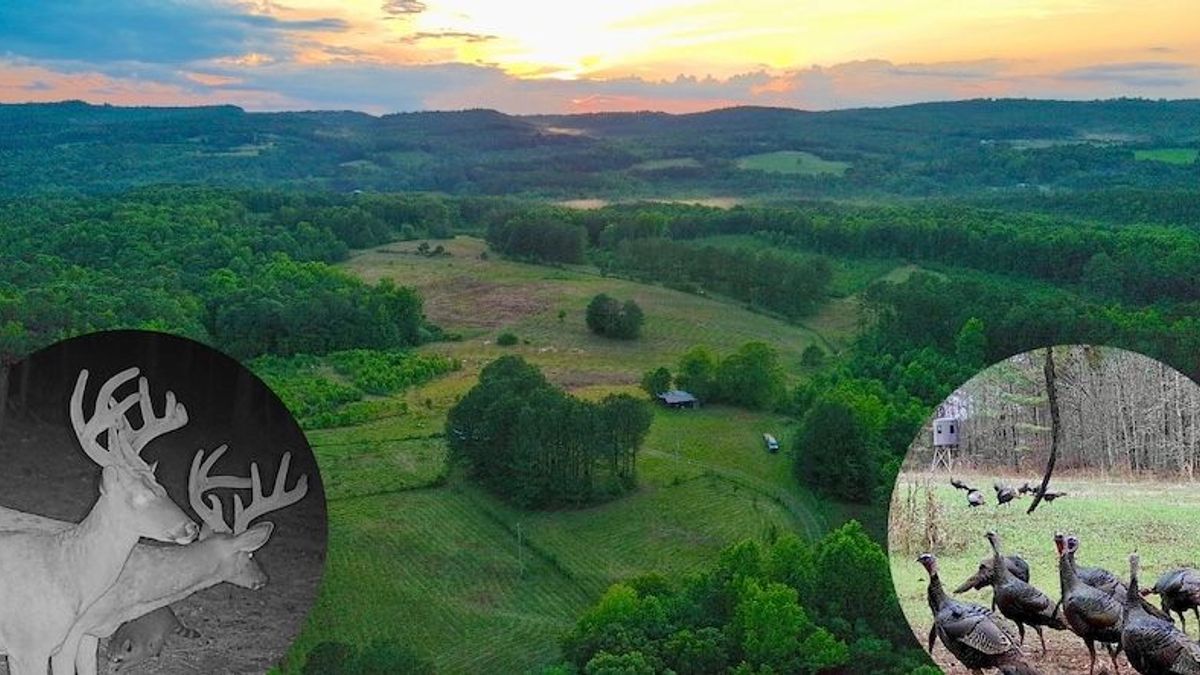 Homestead With Variety, Excellent Hunting, Pasture/Tillable In Private ...