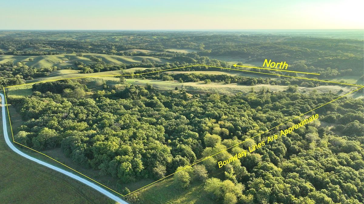 Hunting Farm With Great Views And Building Site | Whitetail Properties