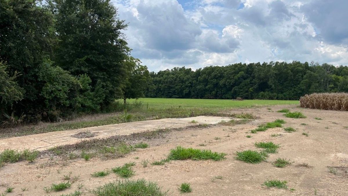 Recreational Land With Hardwood & Pecan Trees - Hunting And Investment ...
