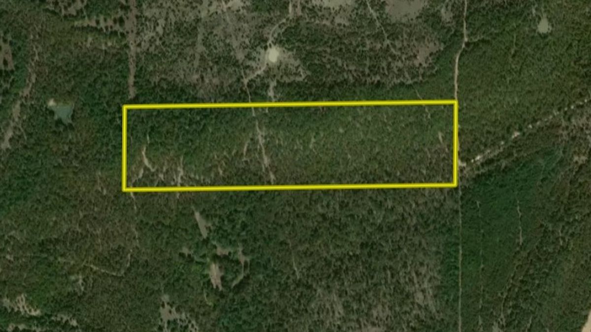 Fully Timbered Small Acreage | Whitetail Properties