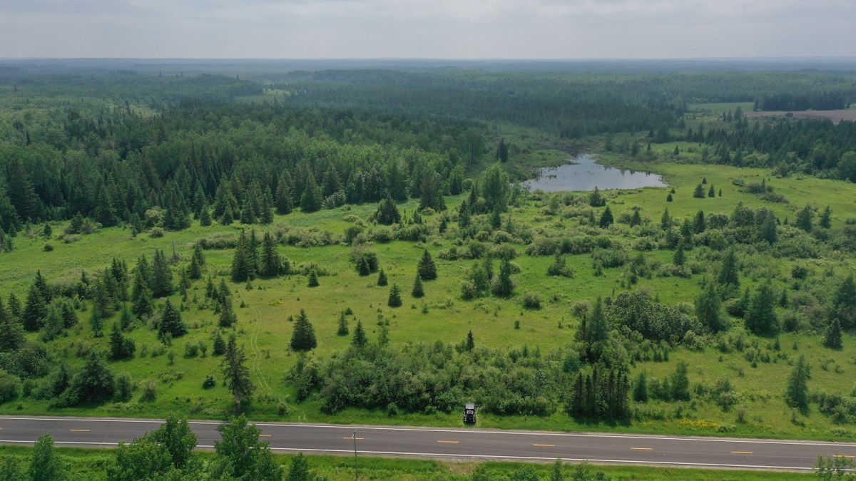 Beautiful Property With Timber, Meadow Mix, And Pond | Whitetail Properties