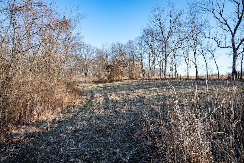 40.4± Acres Bond County IL Hunting And Recreational Land | Whitetail ...
