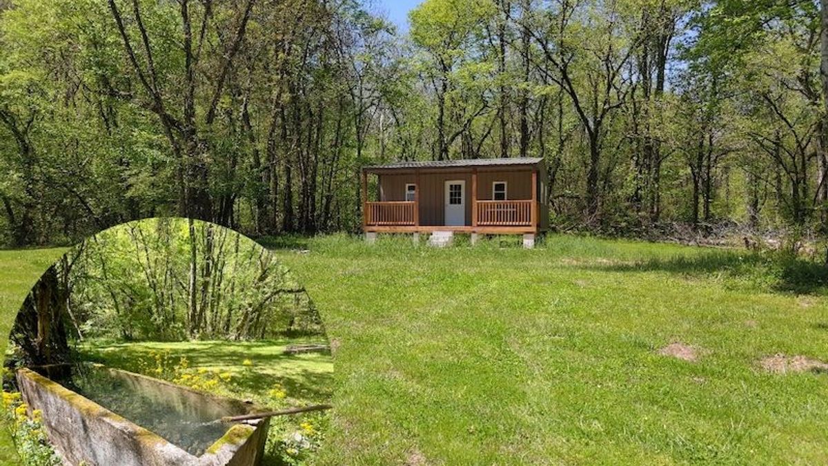 Outstanding Homestead Or Hunting Tract With Off Grid Cabin And Flowing ...
