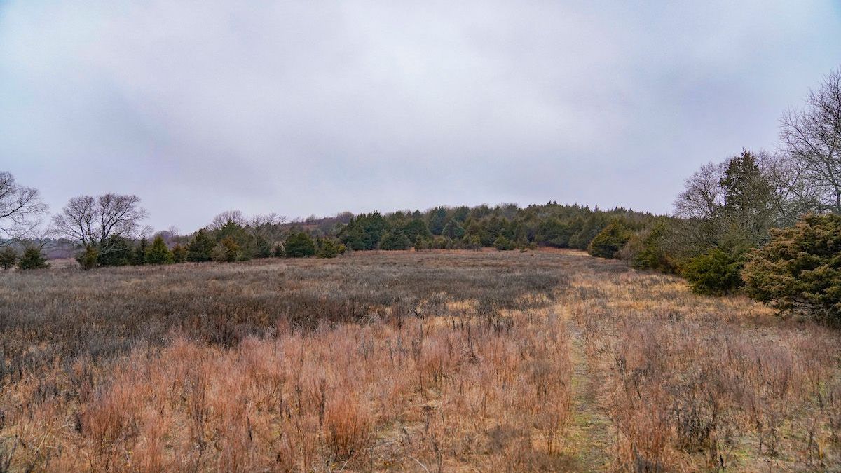 Prime Recreational Acres near KS-OK State Line | Whitetail Properties