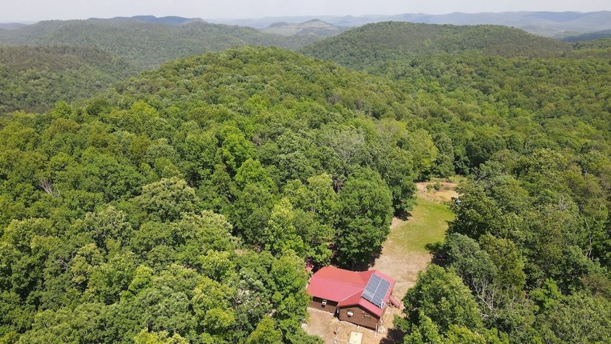 Incredible Off-Grid Cabin Bordering National Forest Near The White ...