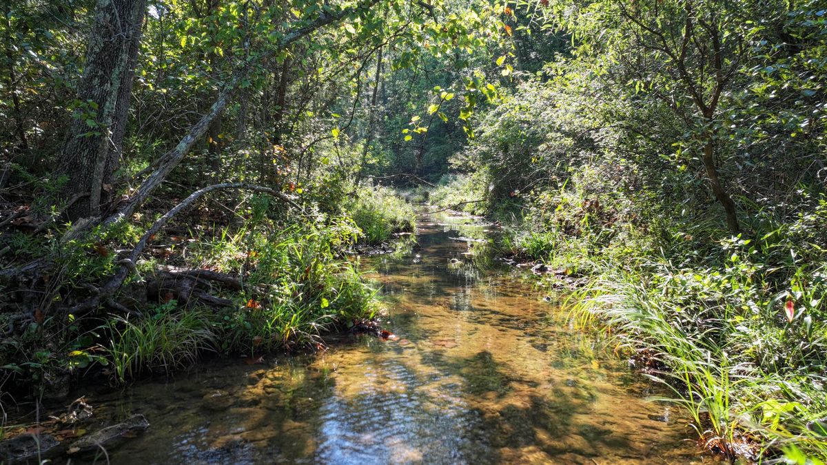 Great Hunting Opportunities Partially Bordering Mark Twain National ...