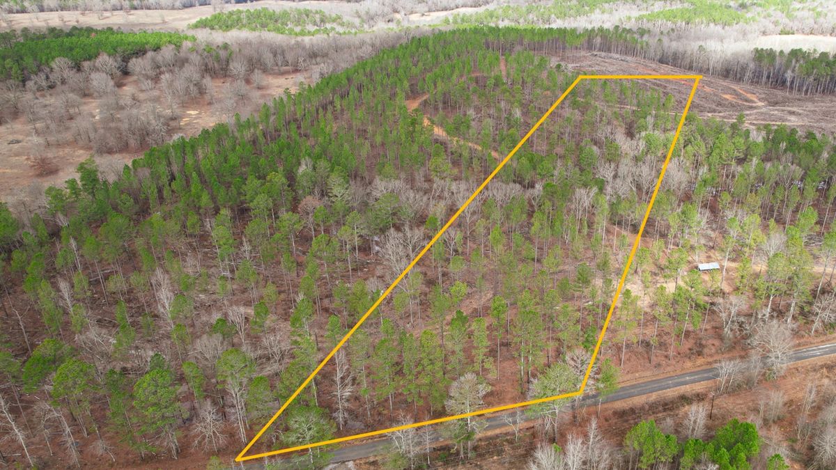 Acreage With Timber And Homesite - Tract 6 | Whitetail Properties