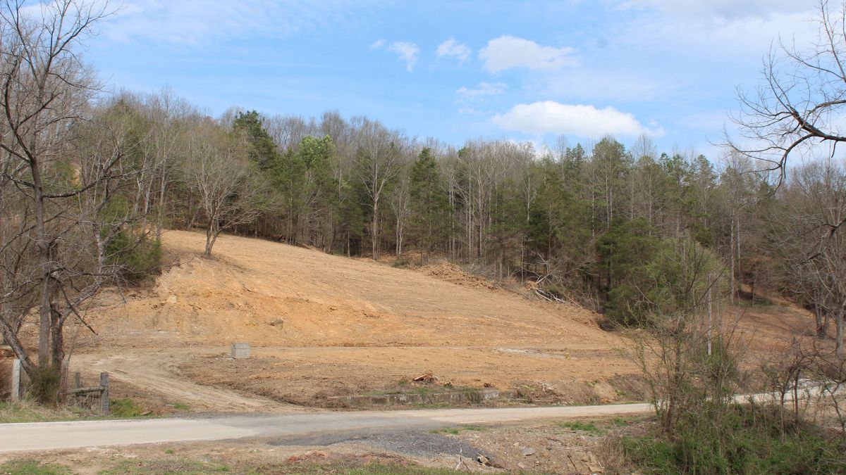 140 Acres Of Beautiful Homestead-Ready Land | Whitetail Properties