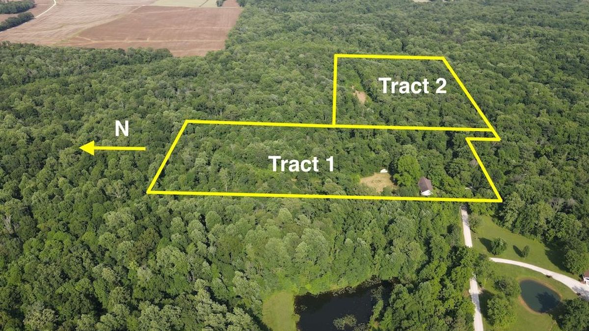 Affordable Recreational Tract With Excellent Hunting Opportunities ...
