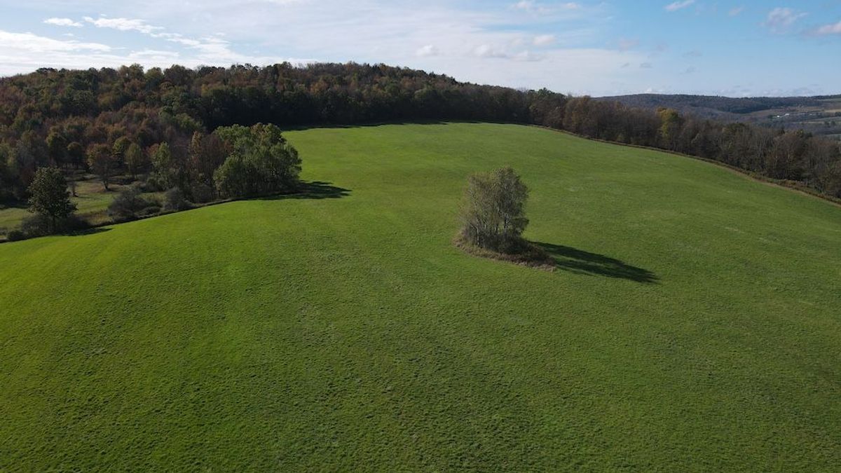 Beautiful, Open Ag Field, Small Farm Or Building Lot | Whitetail Properties