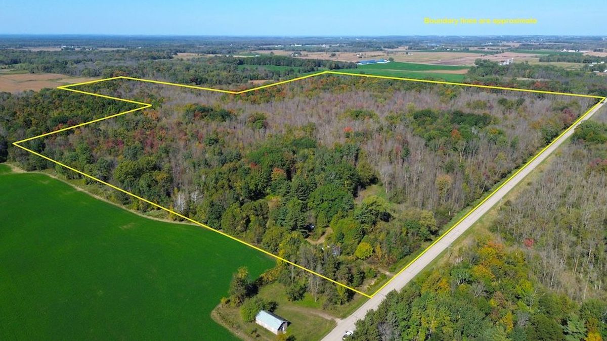Prime Hunting Tract With Building Site Potential Just A Short Drive ...