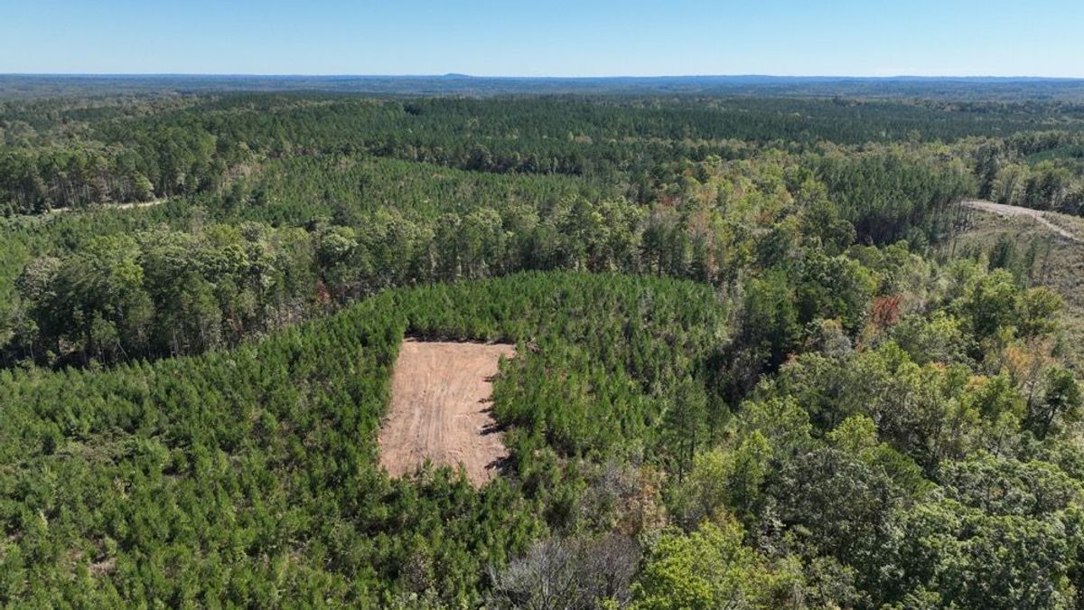 Recreational And Investment Timber Property | Whitetail Properties