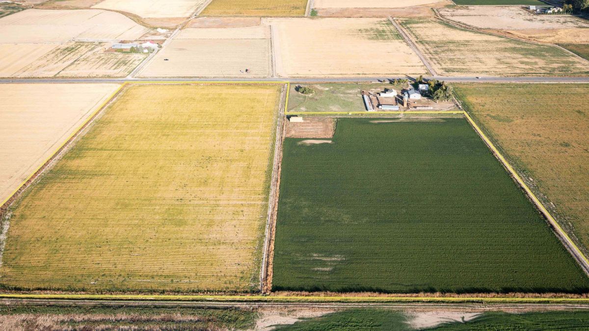Irrigated Farmland Near Filer | Whitetail Properties