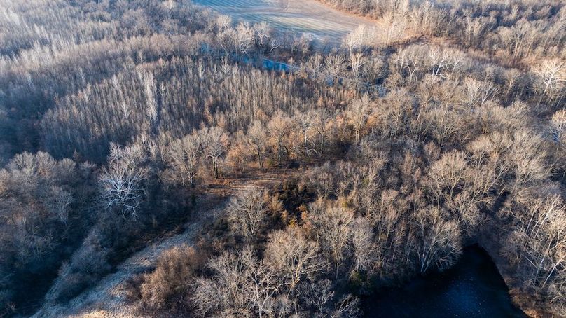 40.4± Acres Bond County IL Hunting And Recreational Land | Whitetail ...