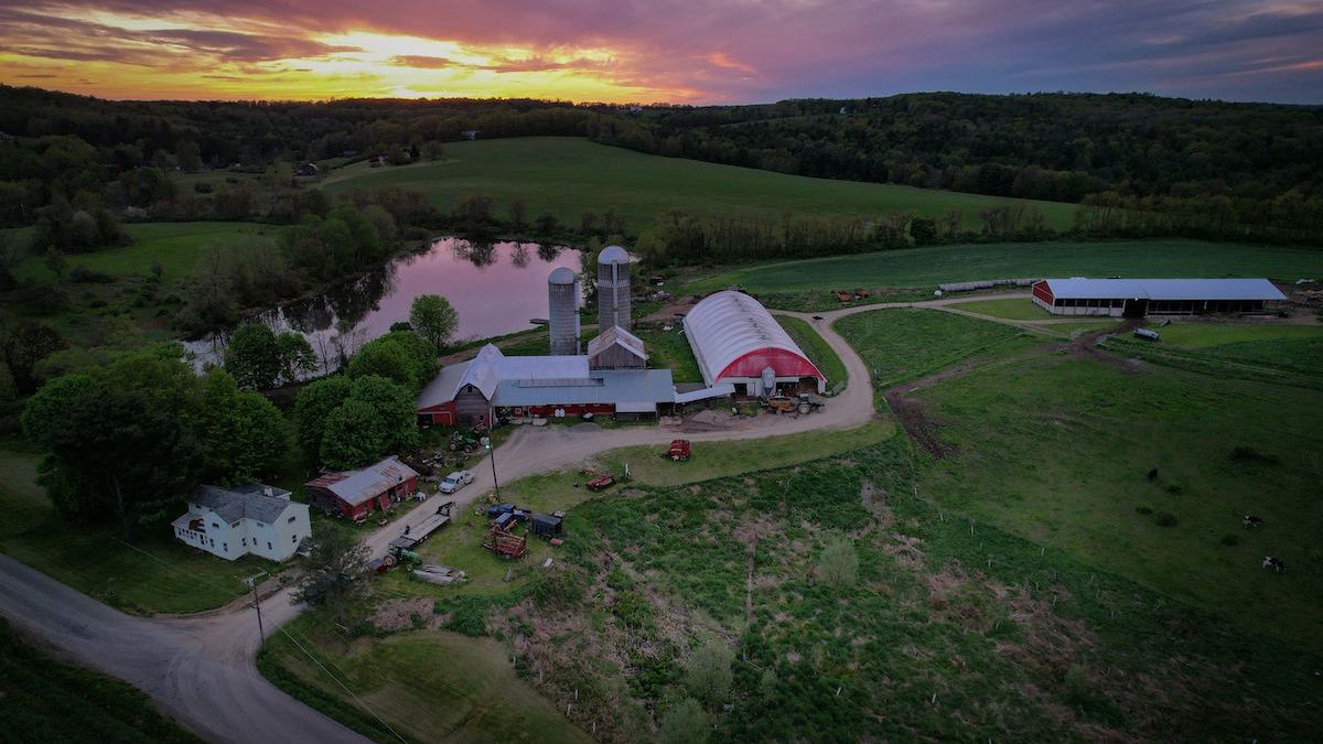 Turn-key Dairy Farm with Home Multiple Buildings And Milk Market ...