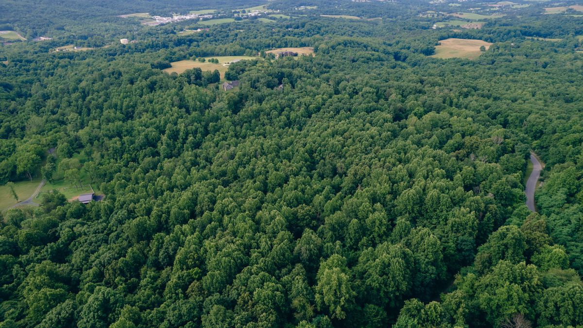 Secluded, Wooded Lot In Saddle Ridge | Whitetail Properties