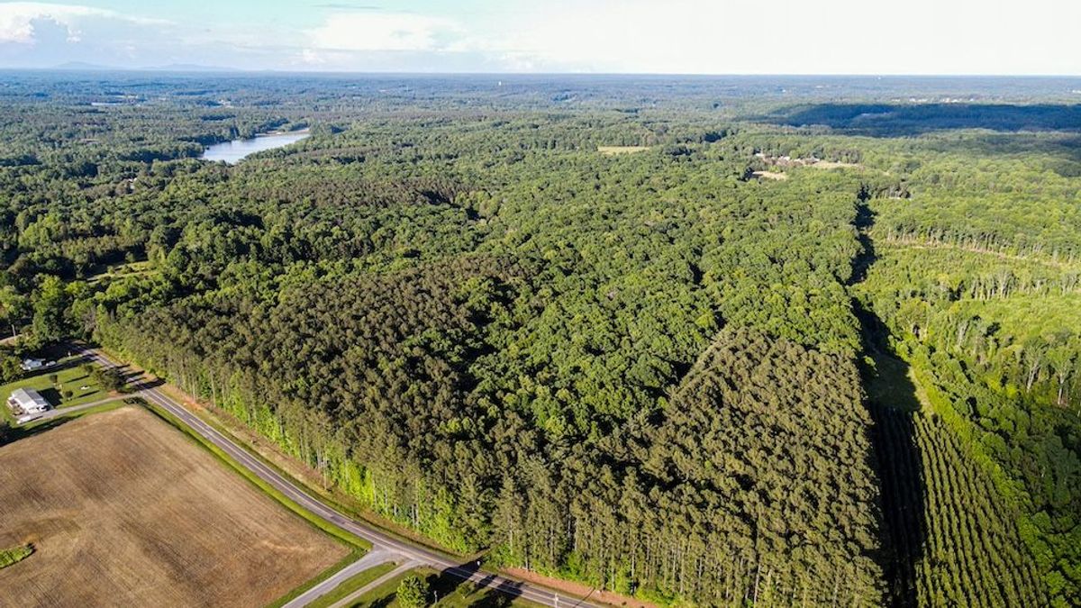 Secluded Timber Retreat With Stunning Pond And Abundant Wildlife ...
