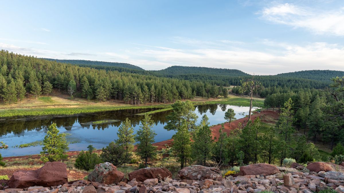 Ultimate Premier Elk Hunting Ranch In Western New Mexico – Ol’Man Ranch ...
