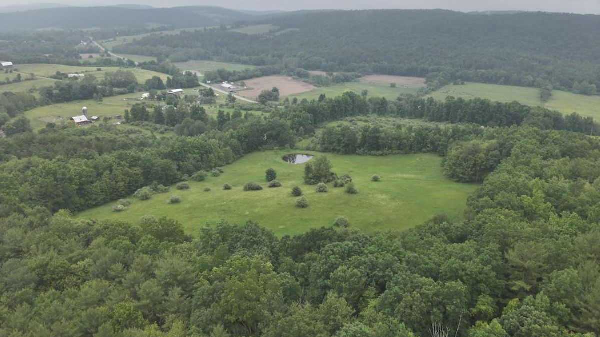 Private Scenic Land - Hunt, Build, Easy Road Access | Whitetail Properties