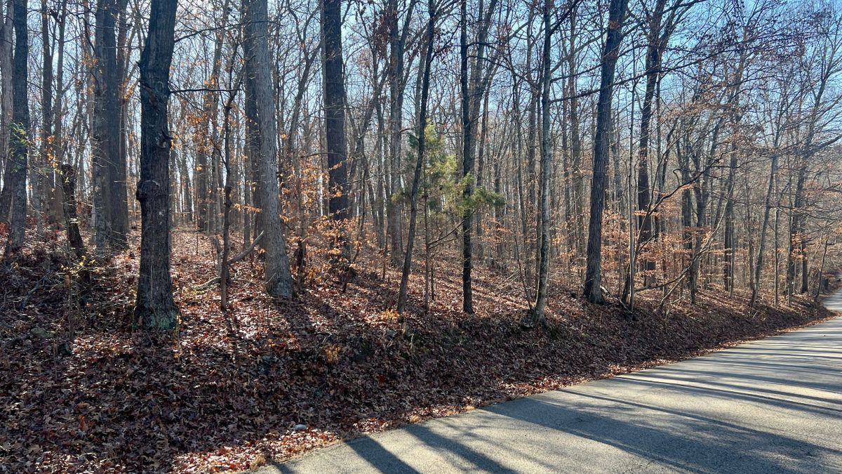 Wooded Country Home Build Site With Valley Views | Whitetail Properties